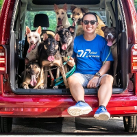 David Khoo drives motoring content at The Edge Singapore - Telum Media